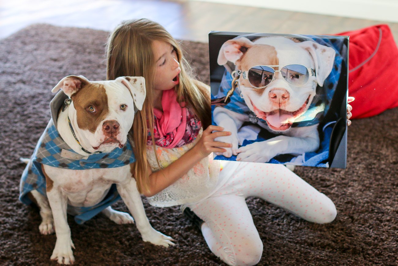 Pet photo gift inspiration | Snapfish US